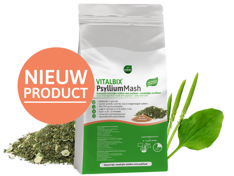 Vitalbix PsylliumMash - smakelijke zandkuur zonder (toegevoegde) suikers