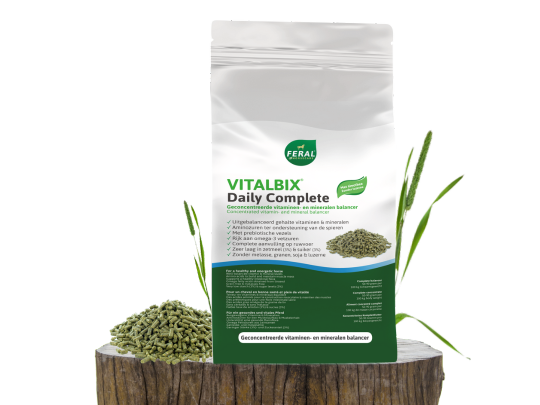 Vitalbix Daily Complete Timothy - VITALBIX